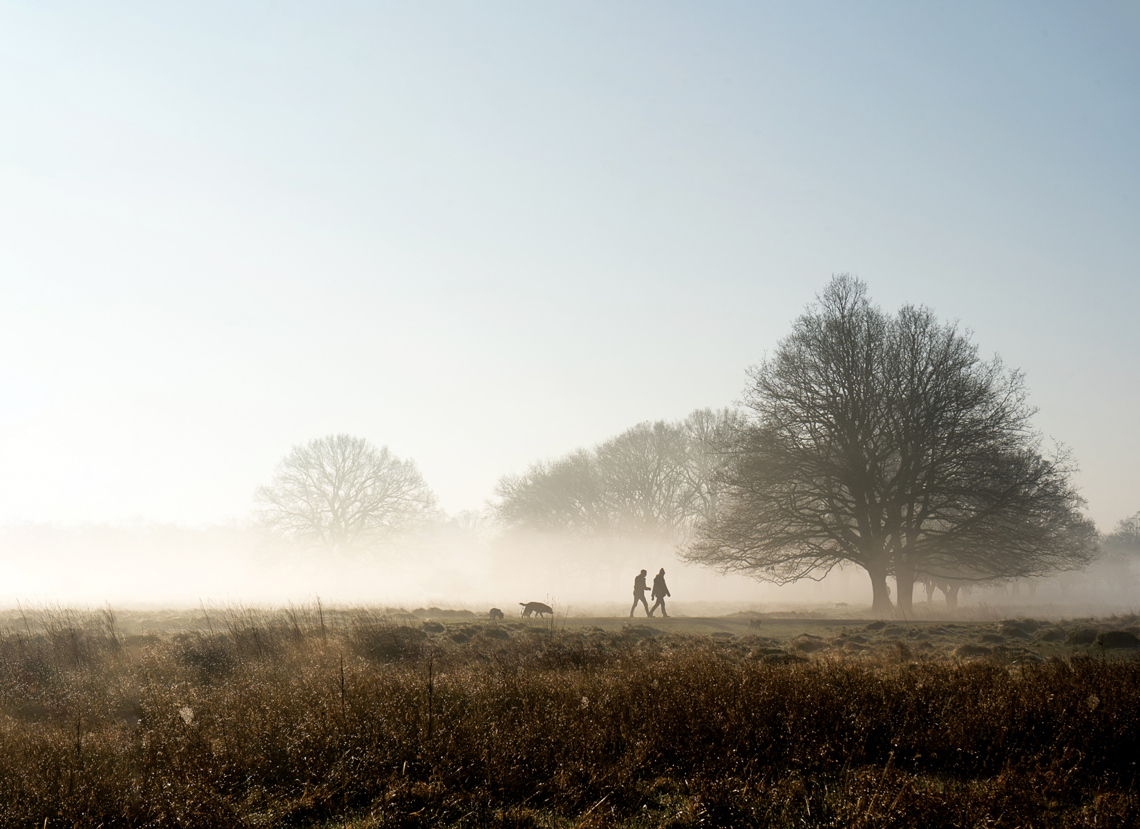 How to Make a Nature Trail – Mother Earth News